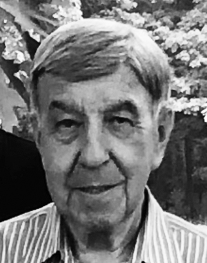 John J. Higgins | News, Sports, Jobs - The Mining Journal